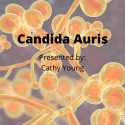 Candida Auris NAB Approval #20230622-1.25-A85915-DL